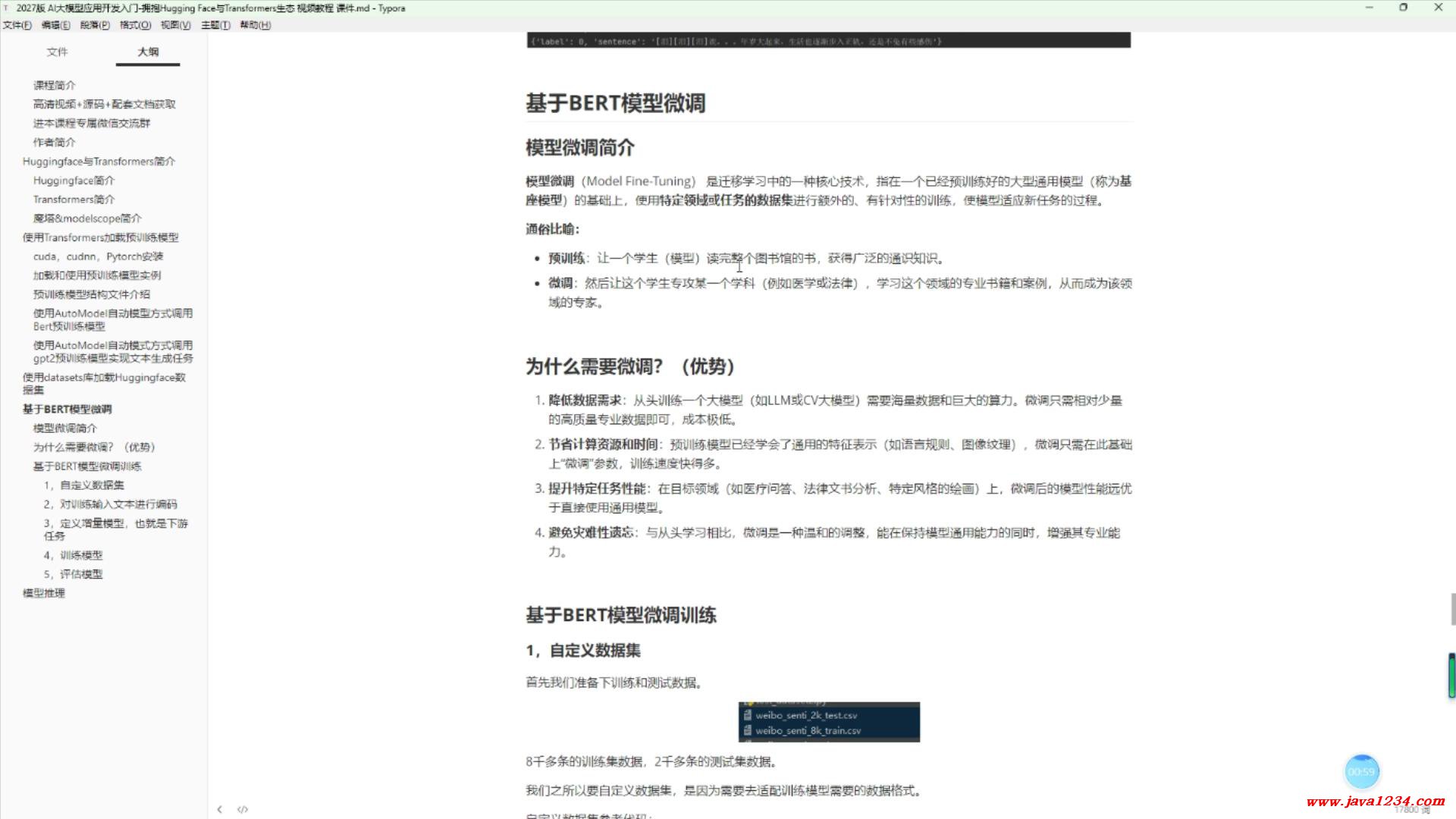 10_Hugging Face与Transformers视频教程_模型微调简介_Java知识分享网-免费Java资源下载